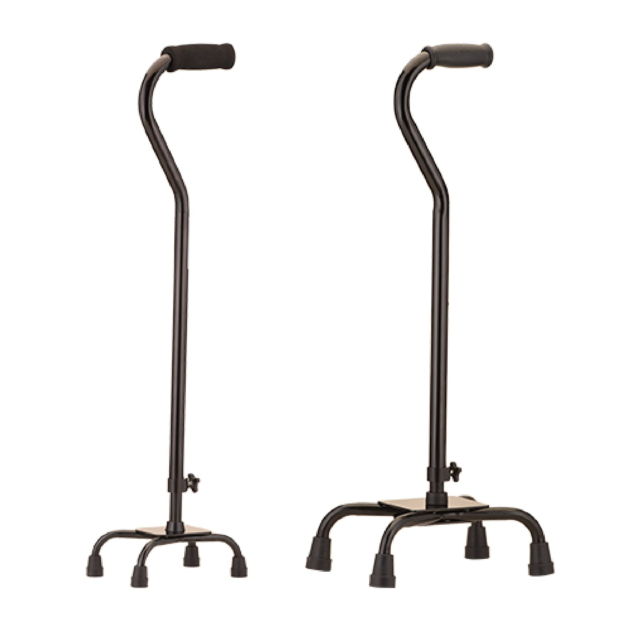 Canes - The Bone Store | Stylish and Reliable Selection